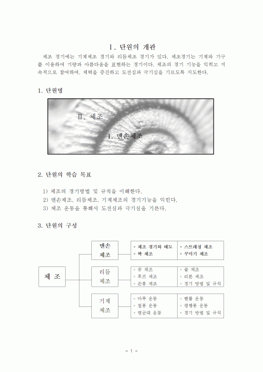 체조학습지도안