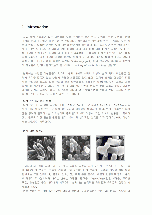 요구르트 속 젖산균 균수계측
