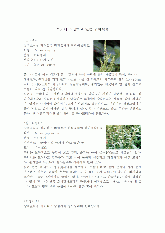 독도에 자생하는 귀화식물 - 종류,설명