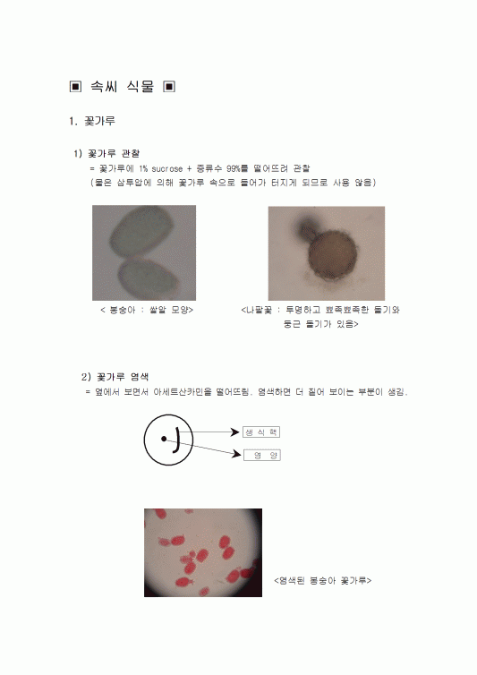 속씨식물 관찰 - 화분관 발아 및 꽃의 구조