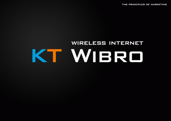 KT wibro 마케팅 현황