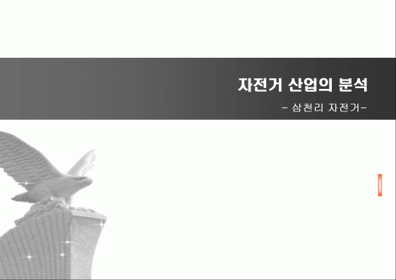 전략경영-자전거산업분석