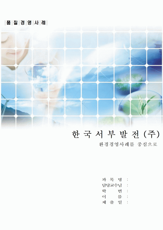 [경영]품질경영사례(환경경영사례를 중심으로-한국서부발전)