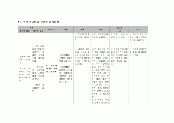 뇌내출혈 간호과정