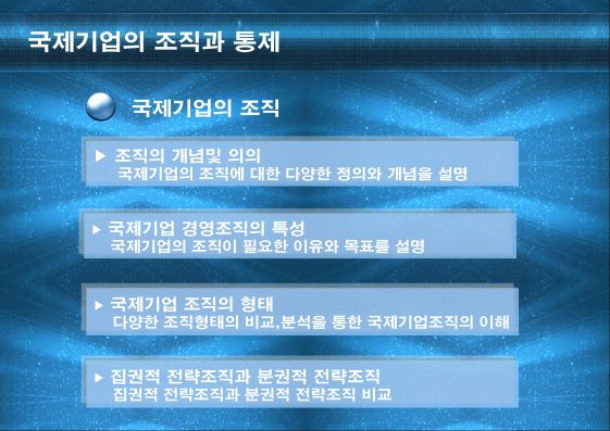 국제경영 국제기업 조직의 특성