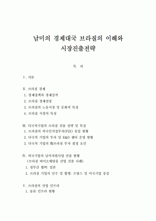 남미의 경제대국 브라질의 이해와 시장진출전략