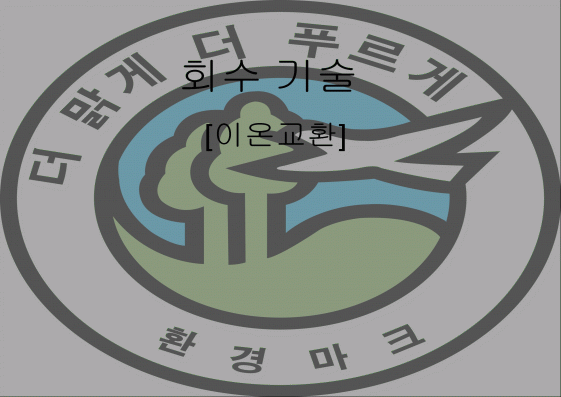 이온교환수지---