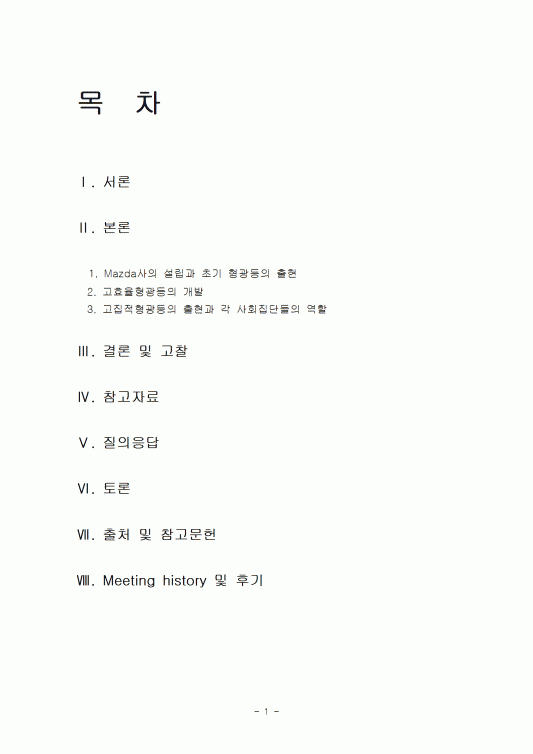 형광등의 사회적구성 보고서