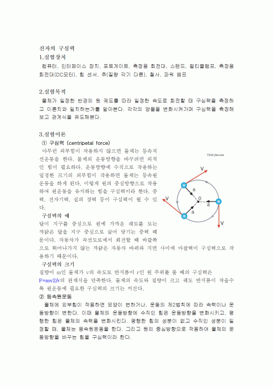 진자의 구심력 - 예비보고서