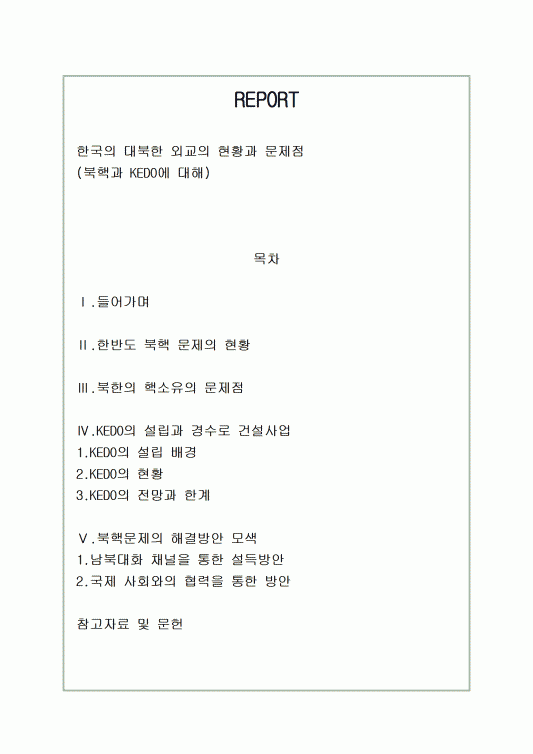 한국의 대북한 외교의 현황과 문제점