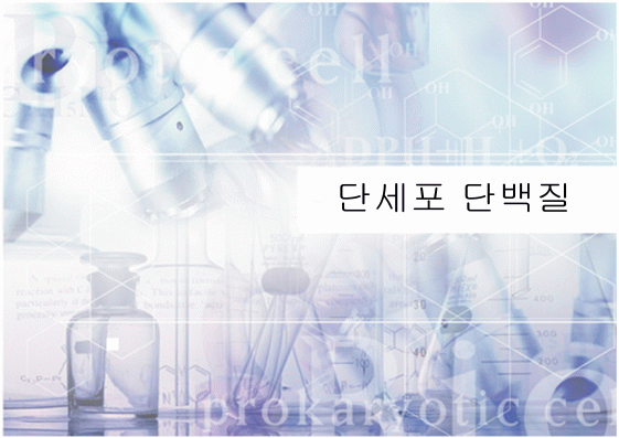 단세포 단백질의 SCP생산과 경제적 효과