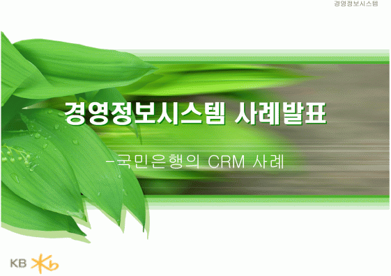 국민은행 CRM사례발표