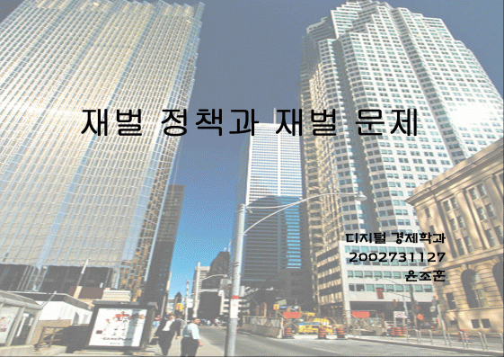 재벌정책과 재벌문제