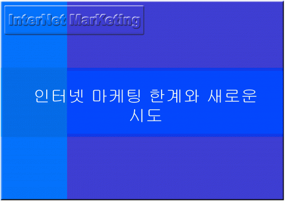 인터넷 마케팅의 한계와 새로운 접근전략