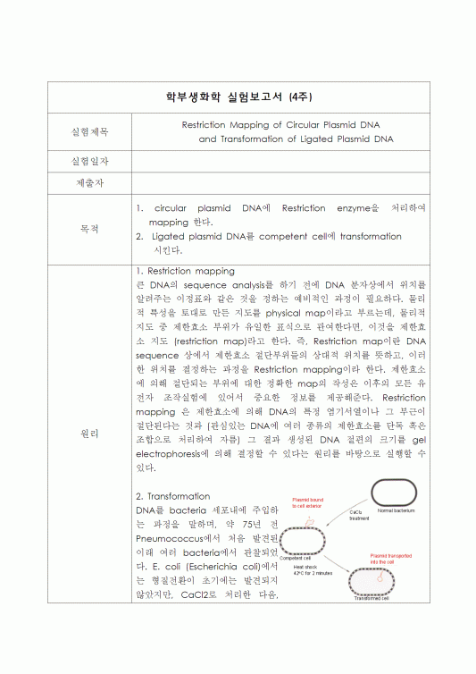 [생물실험, 생화학 실험] circular 플라스미드 DNA 제한효소자리 mapping