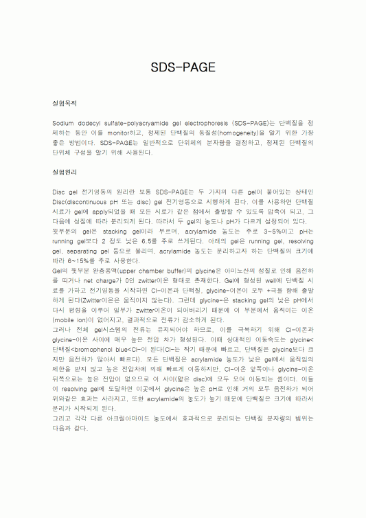 SDS-PAGE 레포트 자료