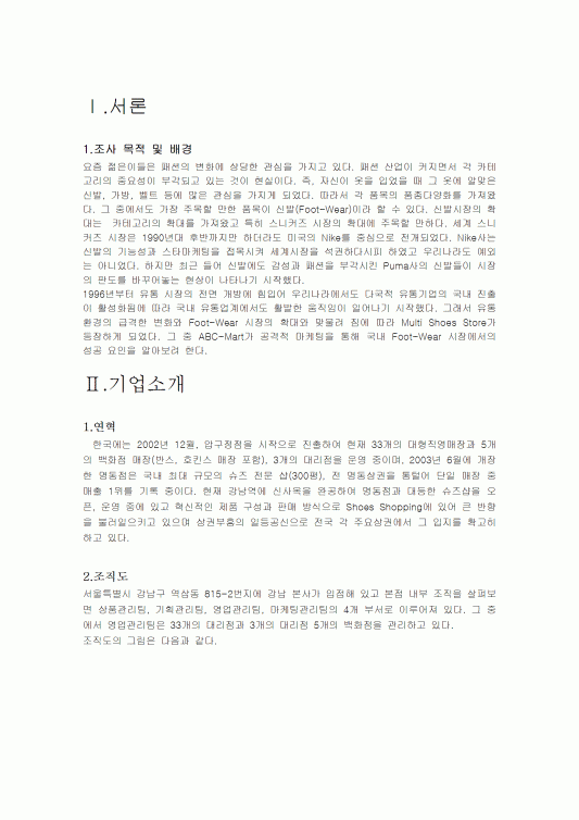 ABC마트 발표사례(마케팅)