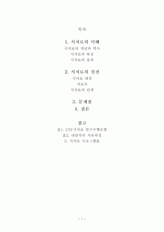 시치료의 이해와 실전 문제점