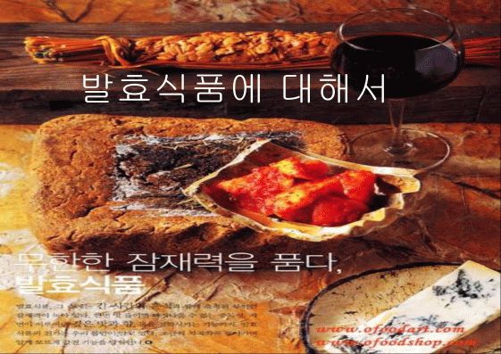 발효식품에 대해