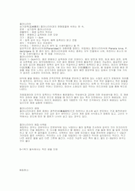 [사회과학] 플라나리아 관찰 보고서