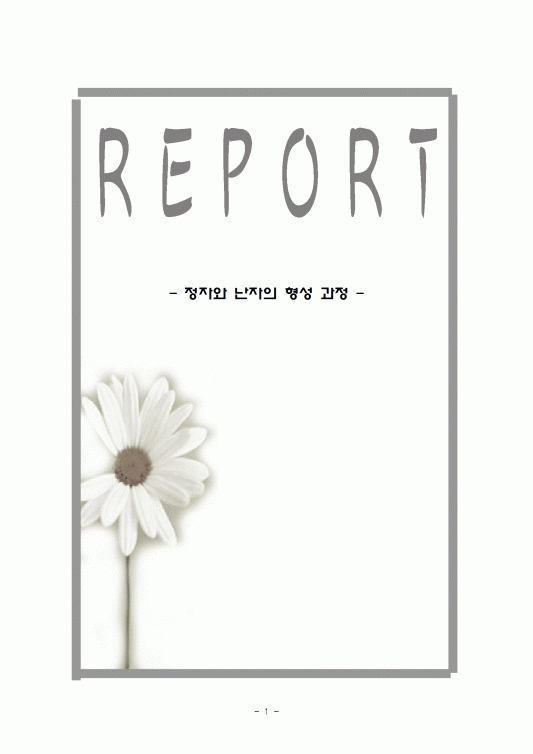 정자와 난자의 형성 과정