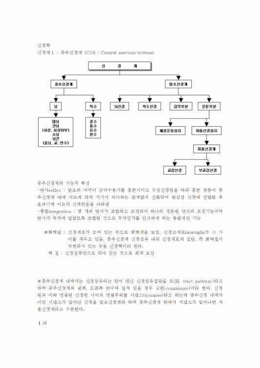 신경학-중추신경계