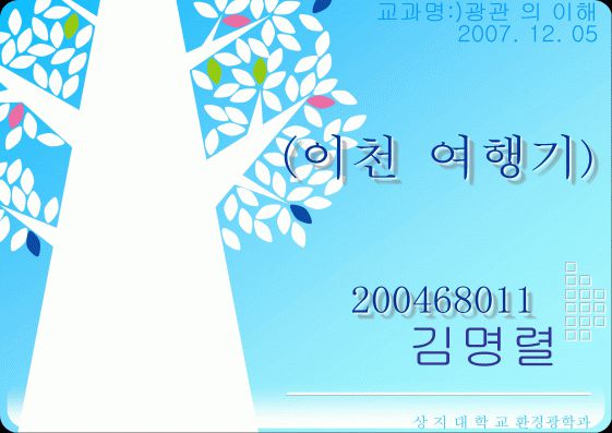 관광 레포트 자료