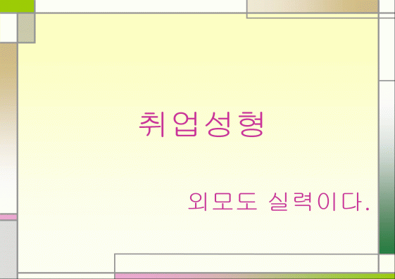취업성형 레포트 자료