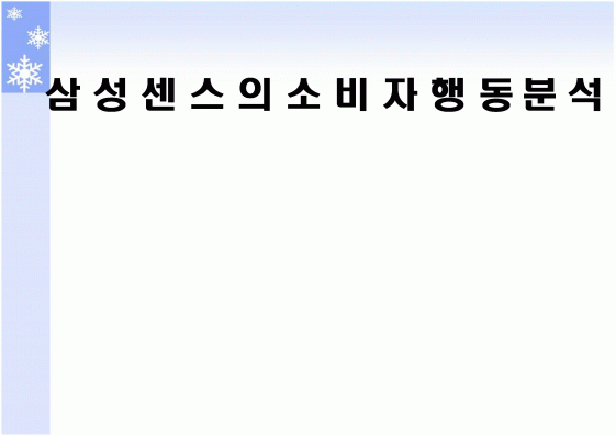 삼성 센스의 소비자 행동분석