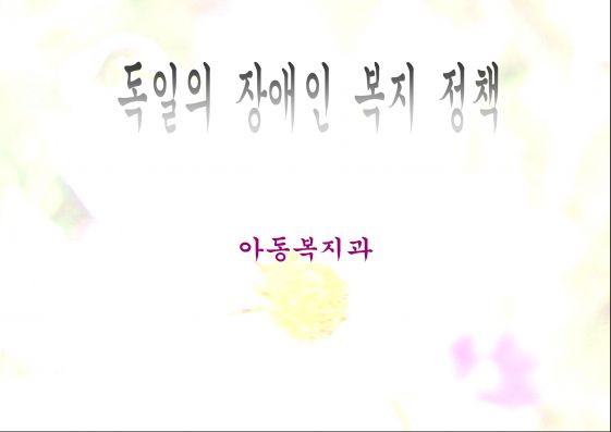 독일의 장애인 복지 파워포인트 자료
