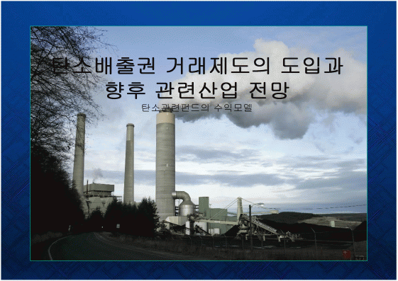 탄소배출권 거래제도의 도입과 향후 관련기업 및 산업 전망 수익모델 케이스 발표 PPT