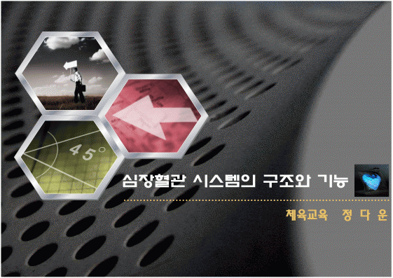 심장혈관 시스템의 구조와 기능