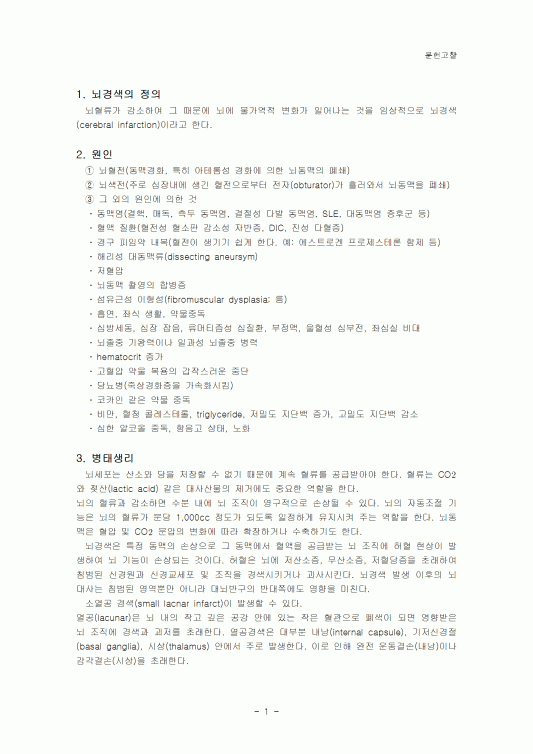 뇌경색 문헌고찰 [의학연구]