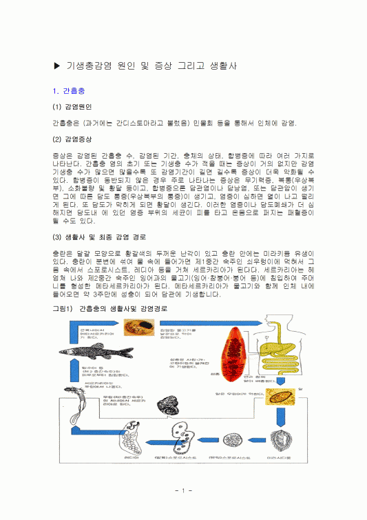 기생충감염 원인 및 증상 그리고 생활사