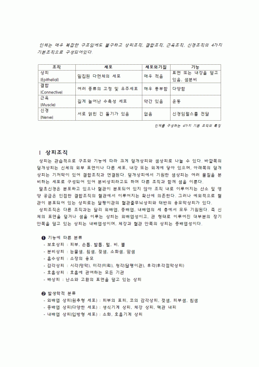 인체의 4대 기본조직-상피,결합,신경,근육