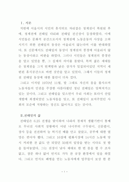 전태일 평전을 읽고 서평