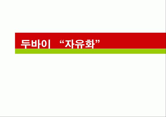 두바이 자유화 현황과 환경 분석
