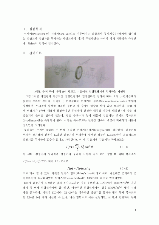 말루스 법칙 결과 레포트