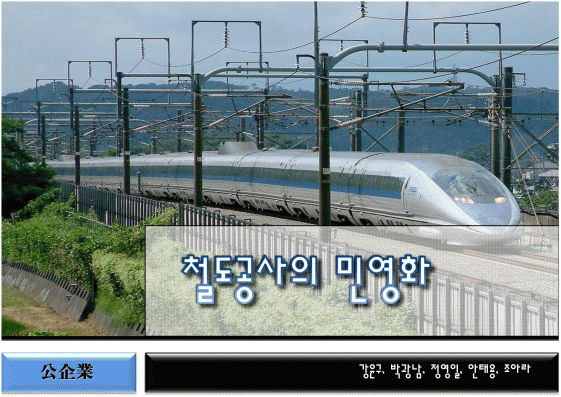 철도공사의 민영화