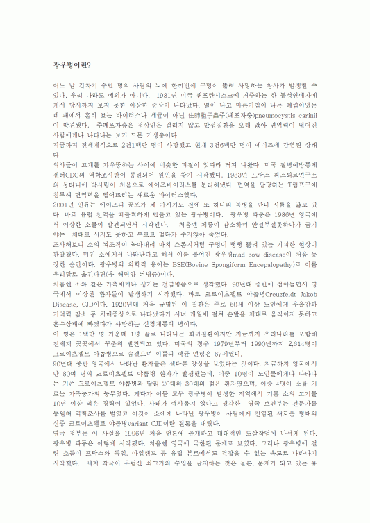 광우병이란 레포트 자료