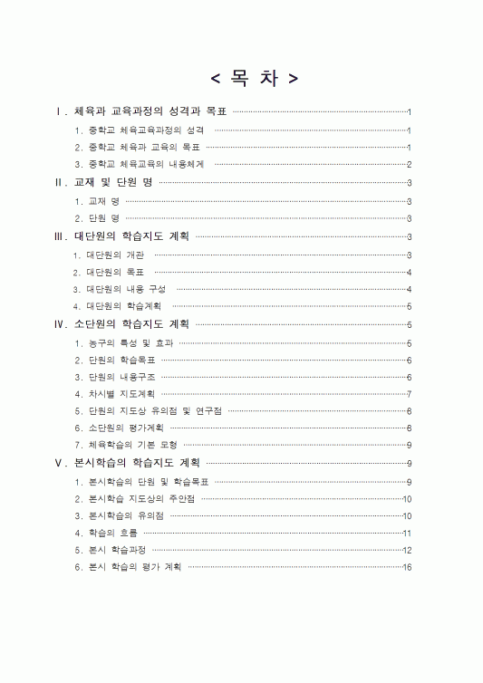 농구 지도안 세안