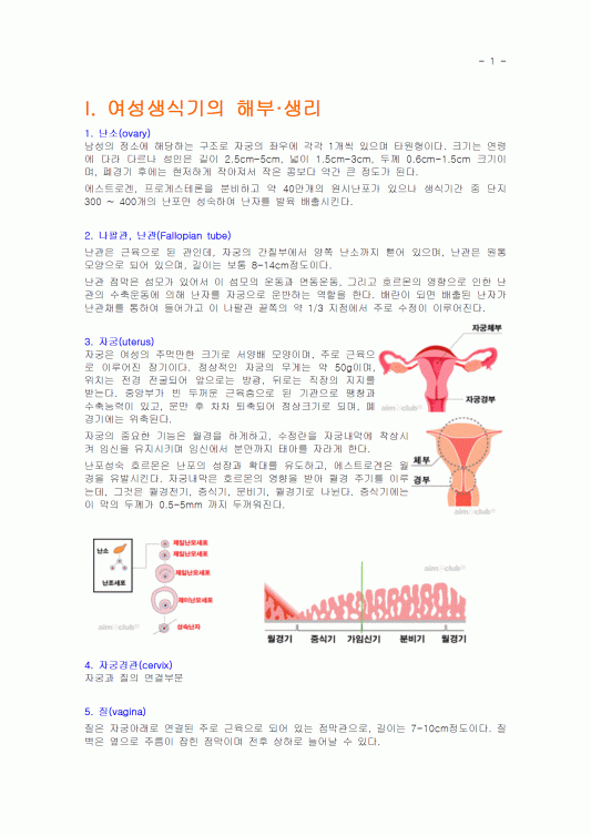 수술실 case 자궁절제술