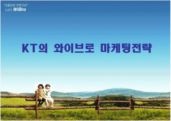 KT의 와이브로 마케팅전략