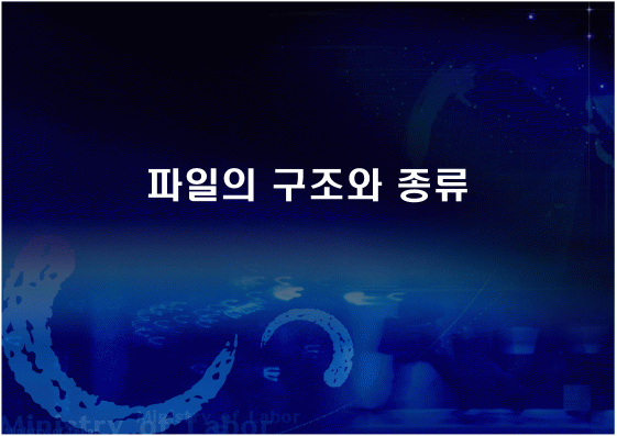 파일의 구조와 종류