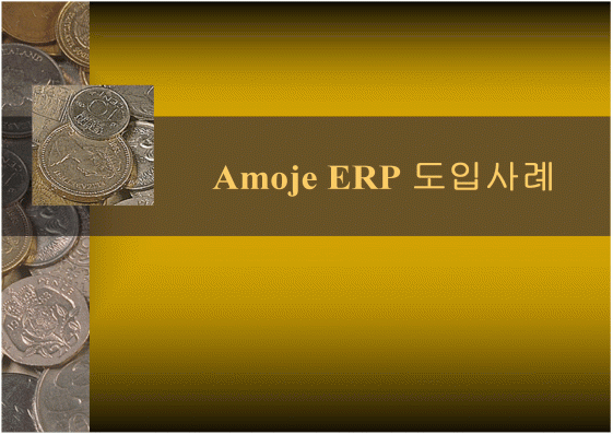 erp 도입사례 레포트 자료