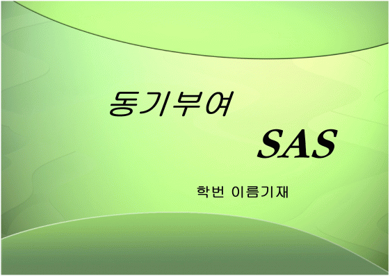동기부여 sas 레포트 자료