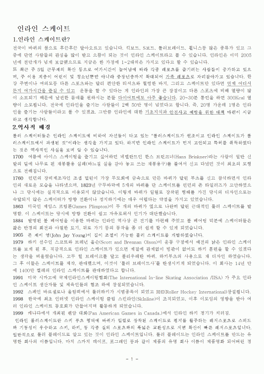 인라인 스케이트 모든것