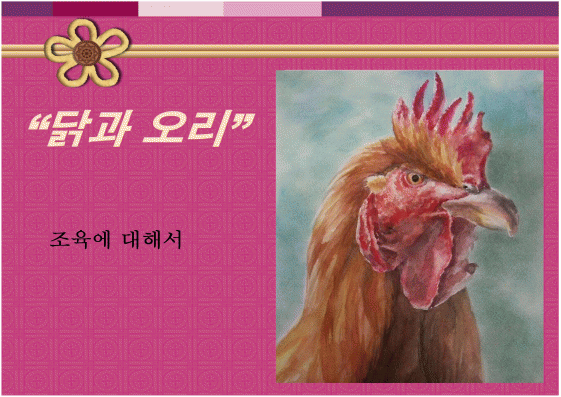 조육류 조사 레포트 자료