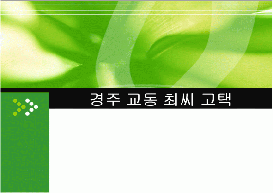 경주 교동 최씨 고택 조사