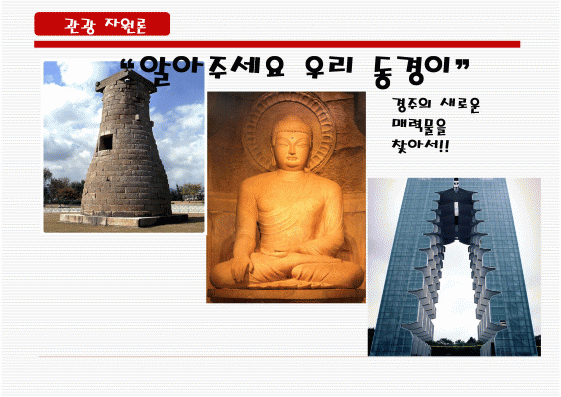 동경개 조사 레포트 자료